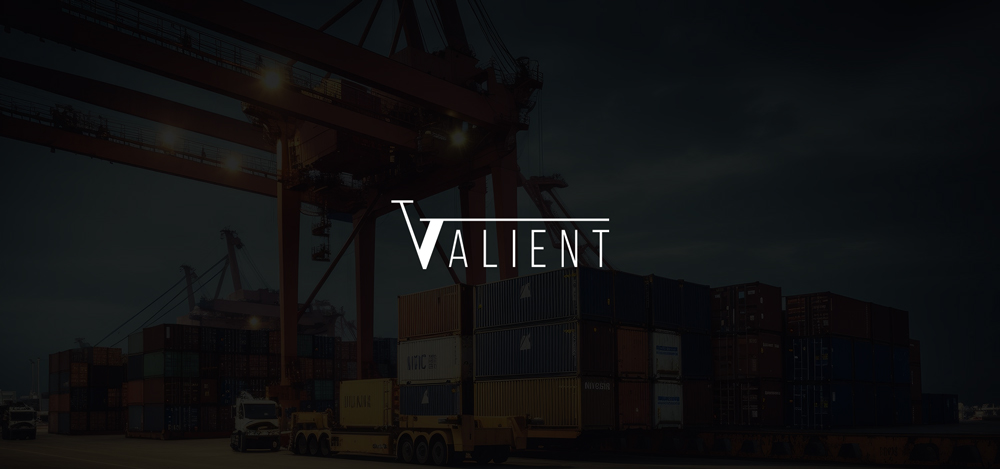 VALIENT TRADE - İÇ VE DIŞ TİCARET LİMİTED ŞİRKETİ